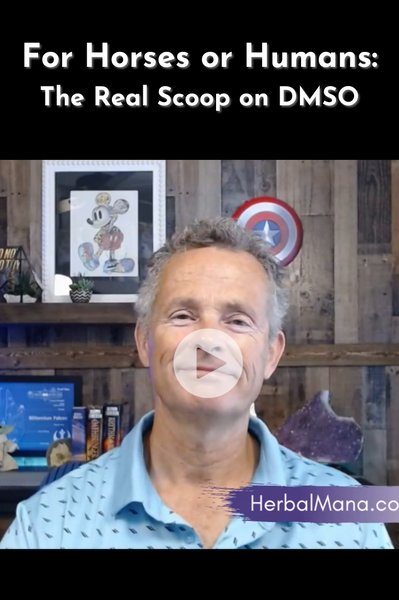 For Horses or Humans: The Real Scoop on DMSO with Todd Bailey
